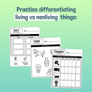Living and Nonliving Activity Pack | Kindergarten Science Activities ...