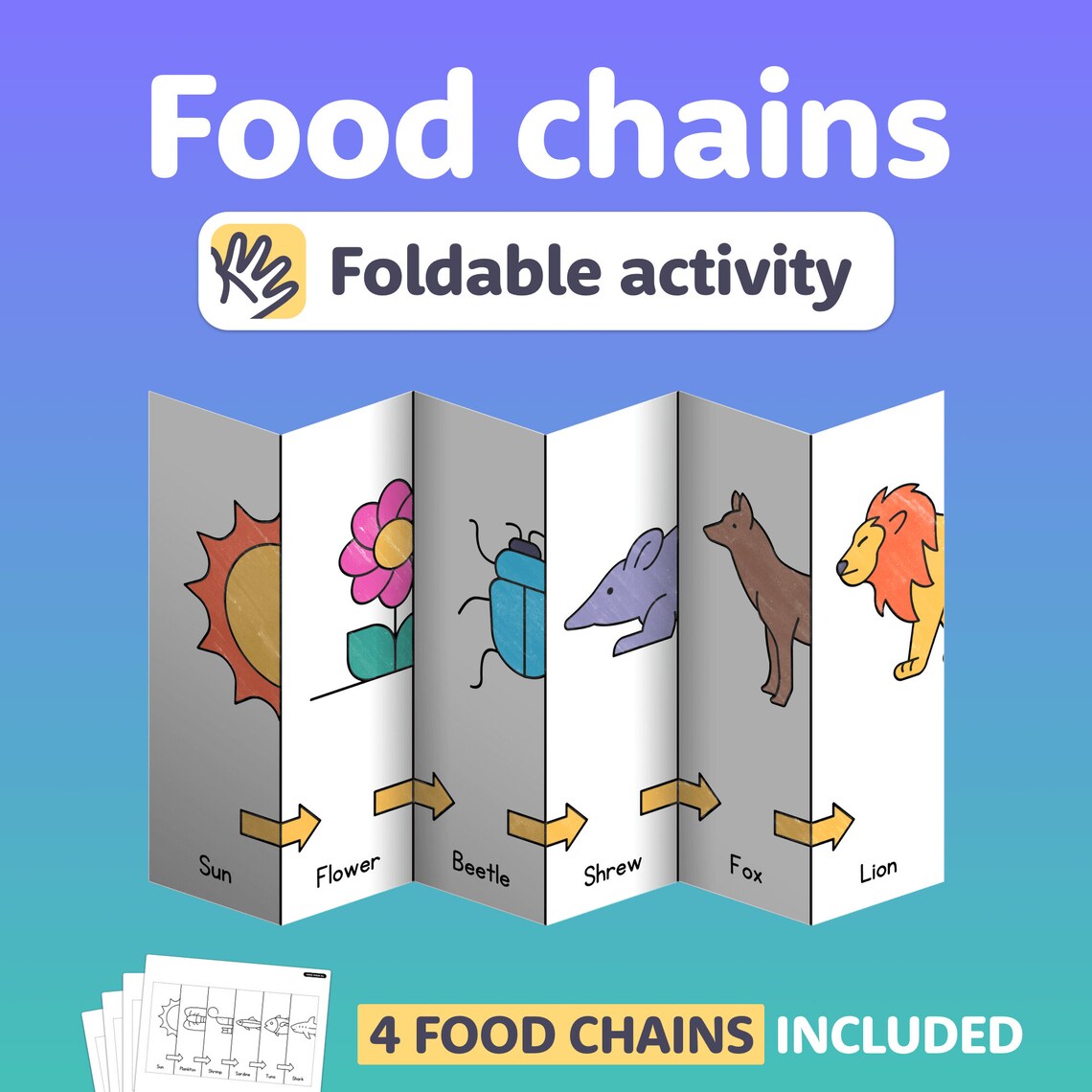Foldable Food Chains Activity | Animal Ecosystems Craft & No Prep ...