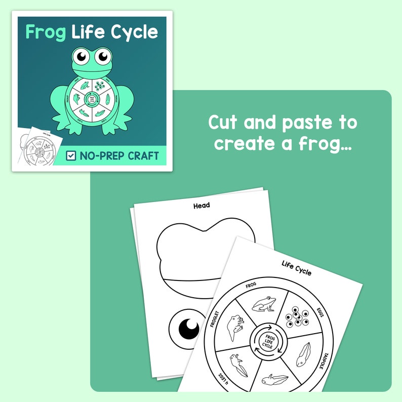 Life Cycles Craft Science Bundle | Kindergarten, 1st, 2nd Grade Life ...