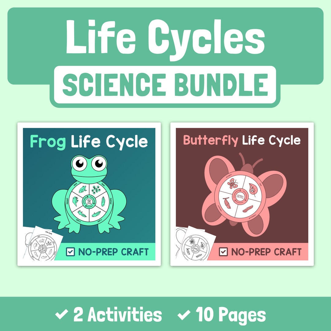 Life Cycles Craft Science Bundle | Kindergarten, 1st, 2nd Grade Life ...