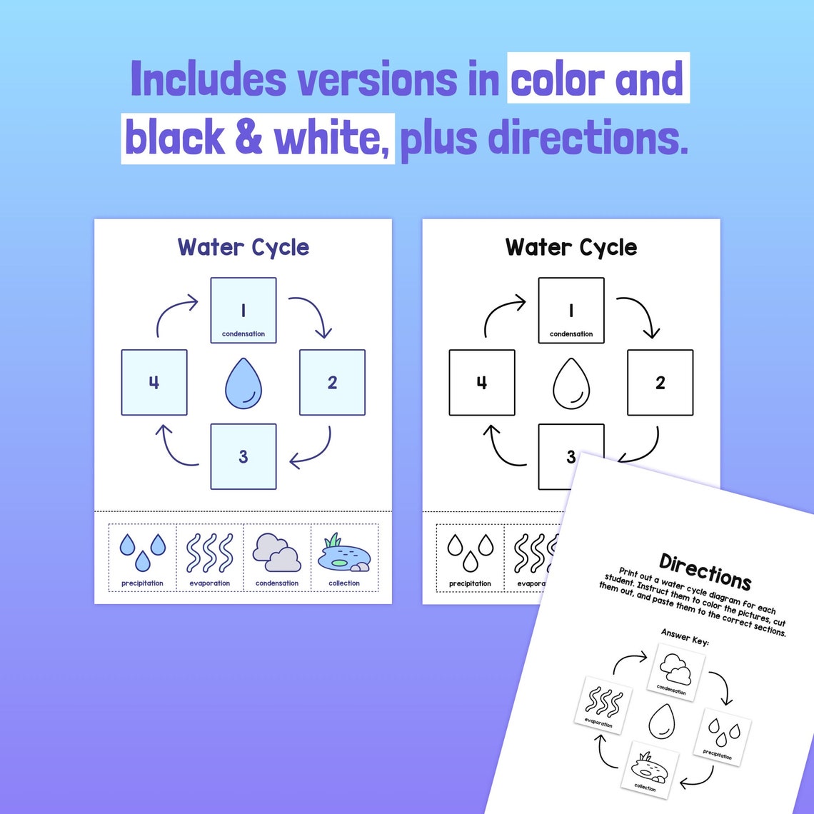 Water Cycle Activity | 1st, 2nd, 3rd Grade Water Cycle Worksheet ...