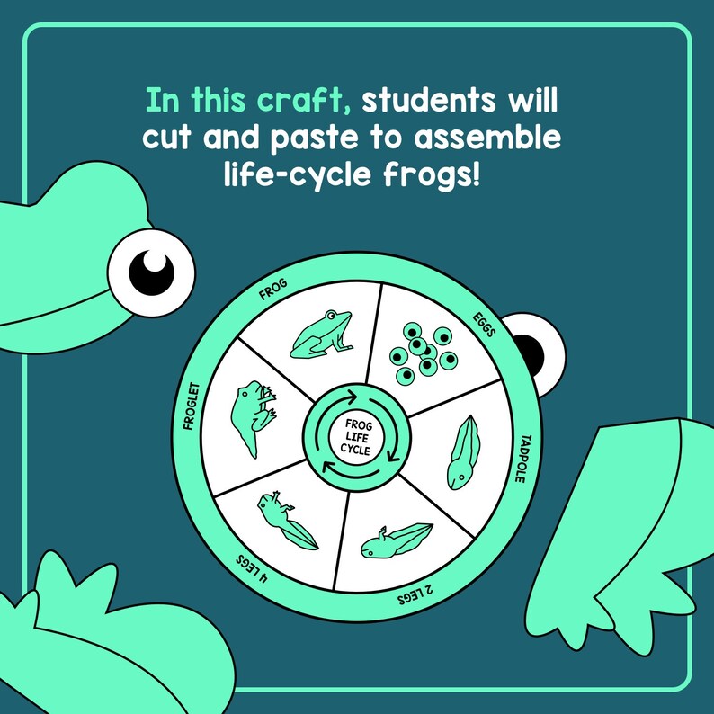 Life Cycle of a Frog Craft | Kindergarten, 1st, 2nd Grade Frog Life ...
