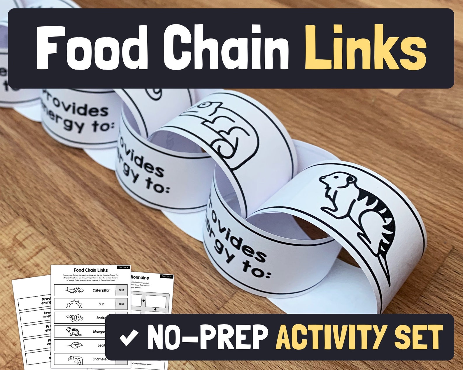 Food Chain Activity 2nd 3rd 4th Grade Animal Ecosystem - Etsy
