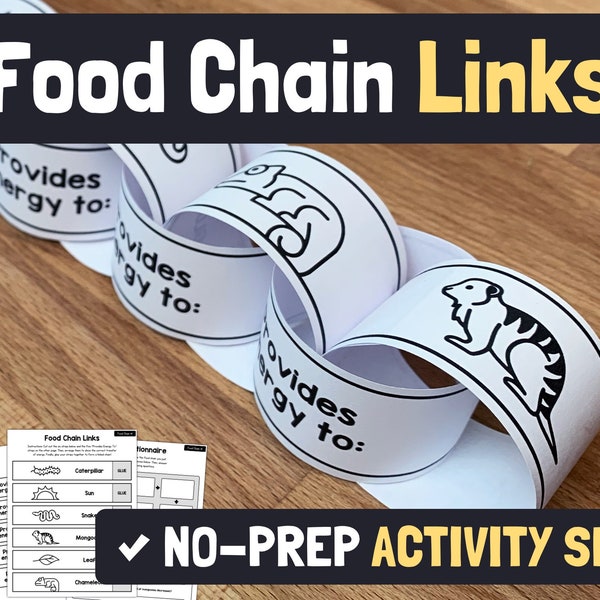 Food Chain Worksheet - Etsy