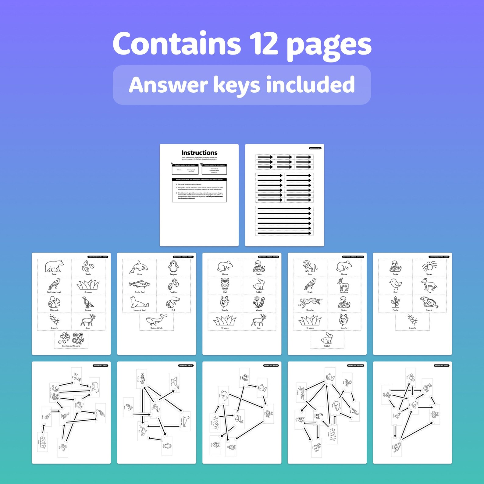 Food Webs Activity | 3rd, 4th, 5th Grade Ecosystems | Food Chains ...