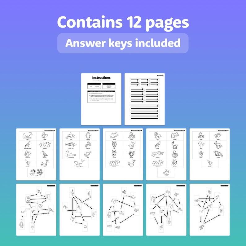 Food Webs Activity | 3rd, 4th, 5th Grade Ecosystems | Food Chains ...