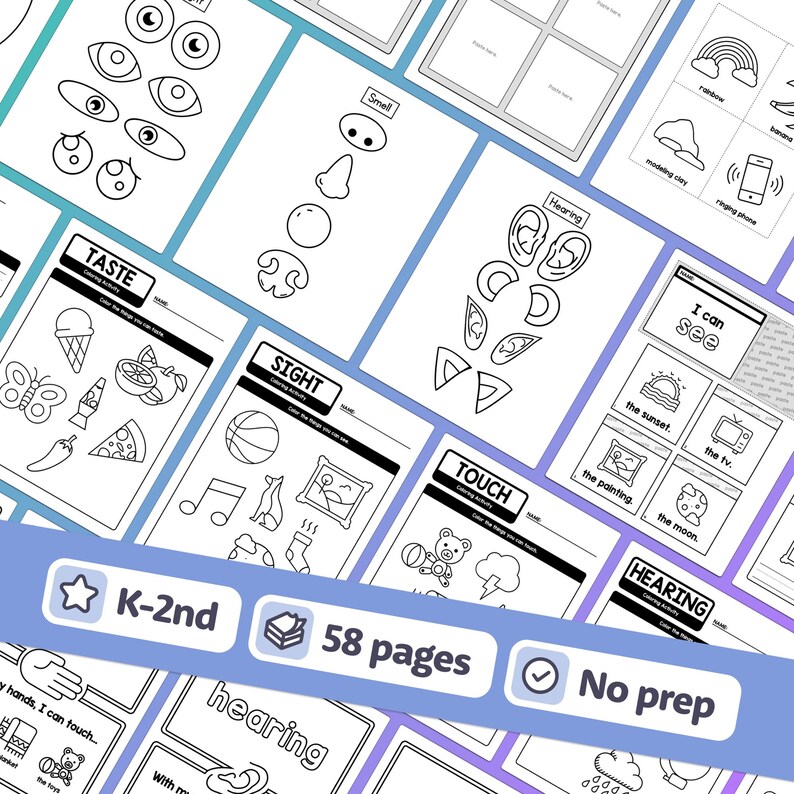 5 Senses Bundle | Kindergarten, 1st Grade, 2nd Grade Science, 5 Senses ...