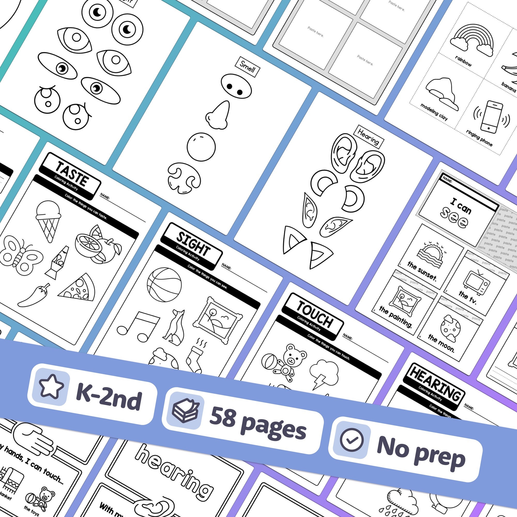 5 Senses Bundle | Kindergarten, 1st Grade, 2nd Grade Science, 5 Senses ...