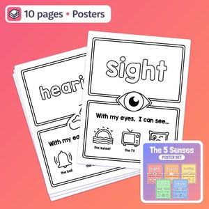 5 Senses Bundle | Kindergarten, 1st Grade, 2nd Grade Science, 5 Senses ...