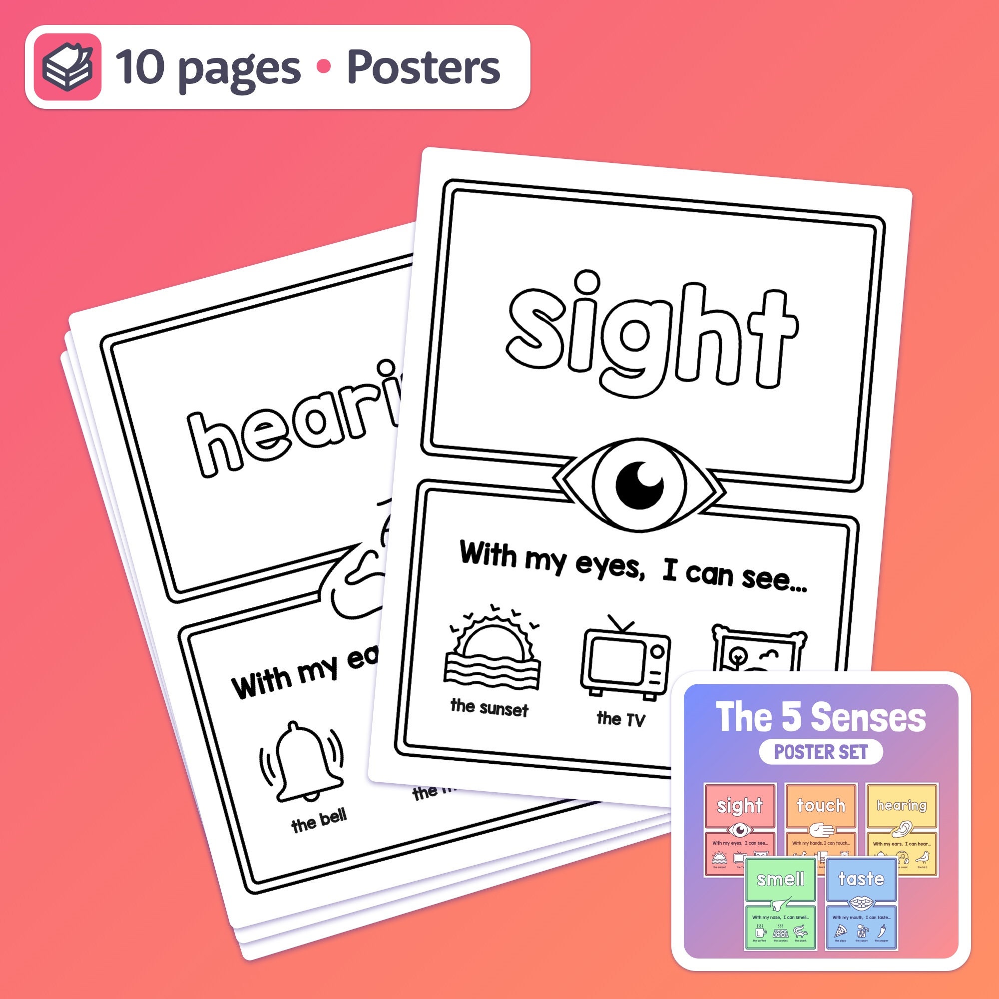 5 Senses Bundle Kindergarten 1st Grade 2nd Grade Science - Etsy