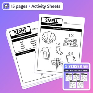 5 Senses Bundle | Kindergarten, 1st Grade, 2nd Grade Science, 5 Senses ...
