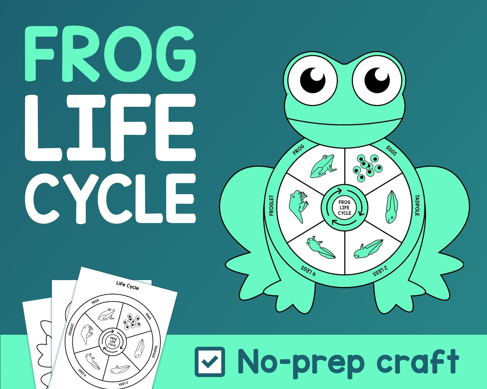 Life Cycle of a Frog Craft Kindergarten 1st 2nd Grade Frog - Etsy