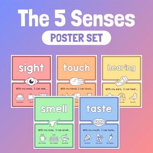 5 Senses Posters | K, 1st, 2nd Grade Five Senses Bulletin Board Decor ...