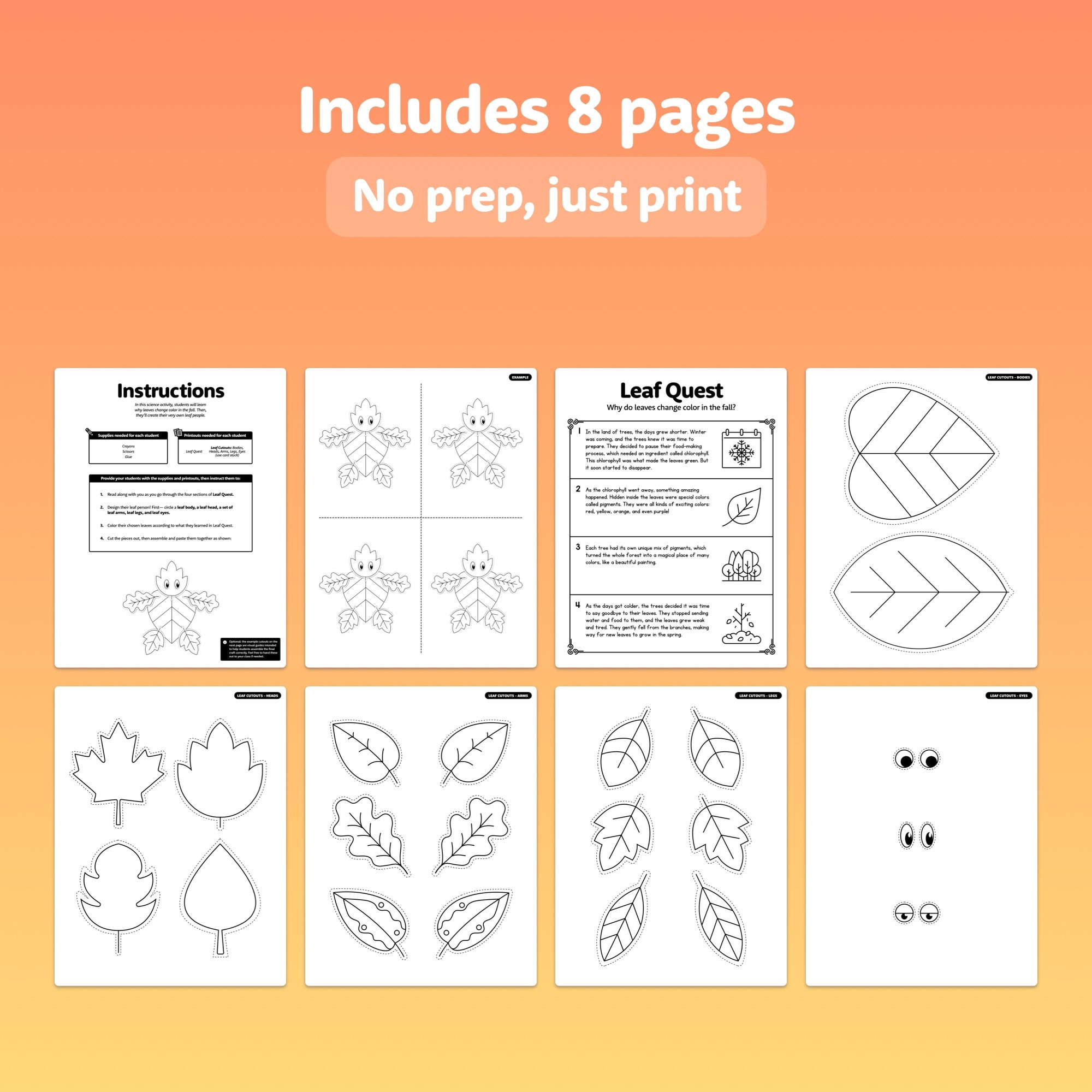 Kindergarten Fall Science Center Why Do Leaves Change Color Fall Leaf ...