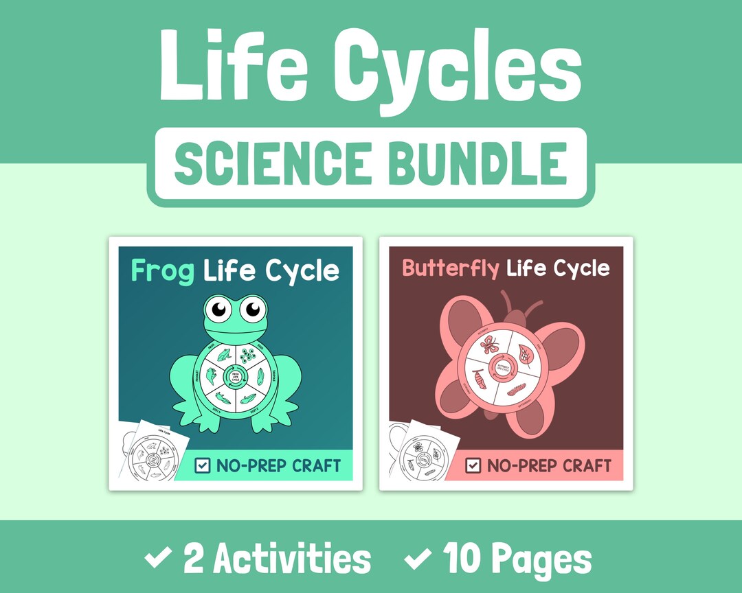 Life Cycles Craft Science Bundle Kindergarten 1st 2nd - Etsy