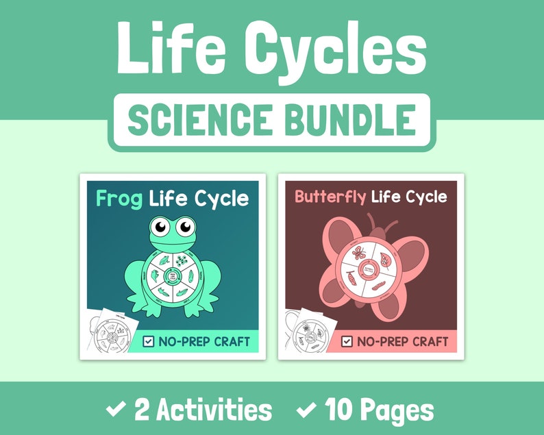 Life Cycles Craft Science Bundle Kindergarten 1st 2nd - Etsy