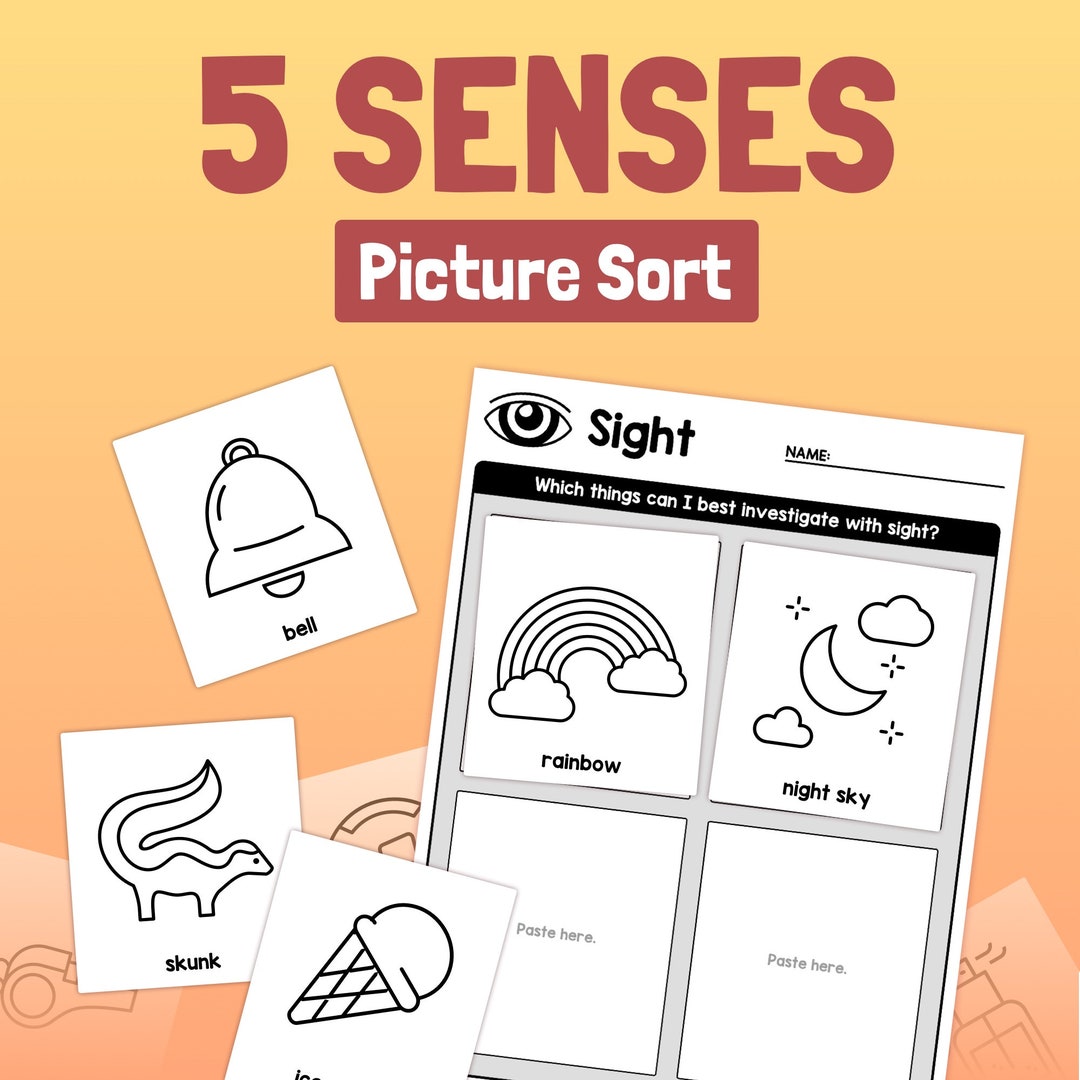 Five Senses Activity | 5 Senses Picture Sort, Kindergarten & 1st Grade ...