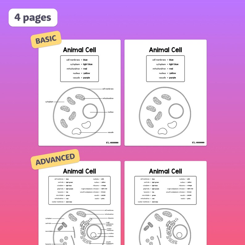 Animal and Plant Cell Coloring Pages, Upper Elementary Biology ...