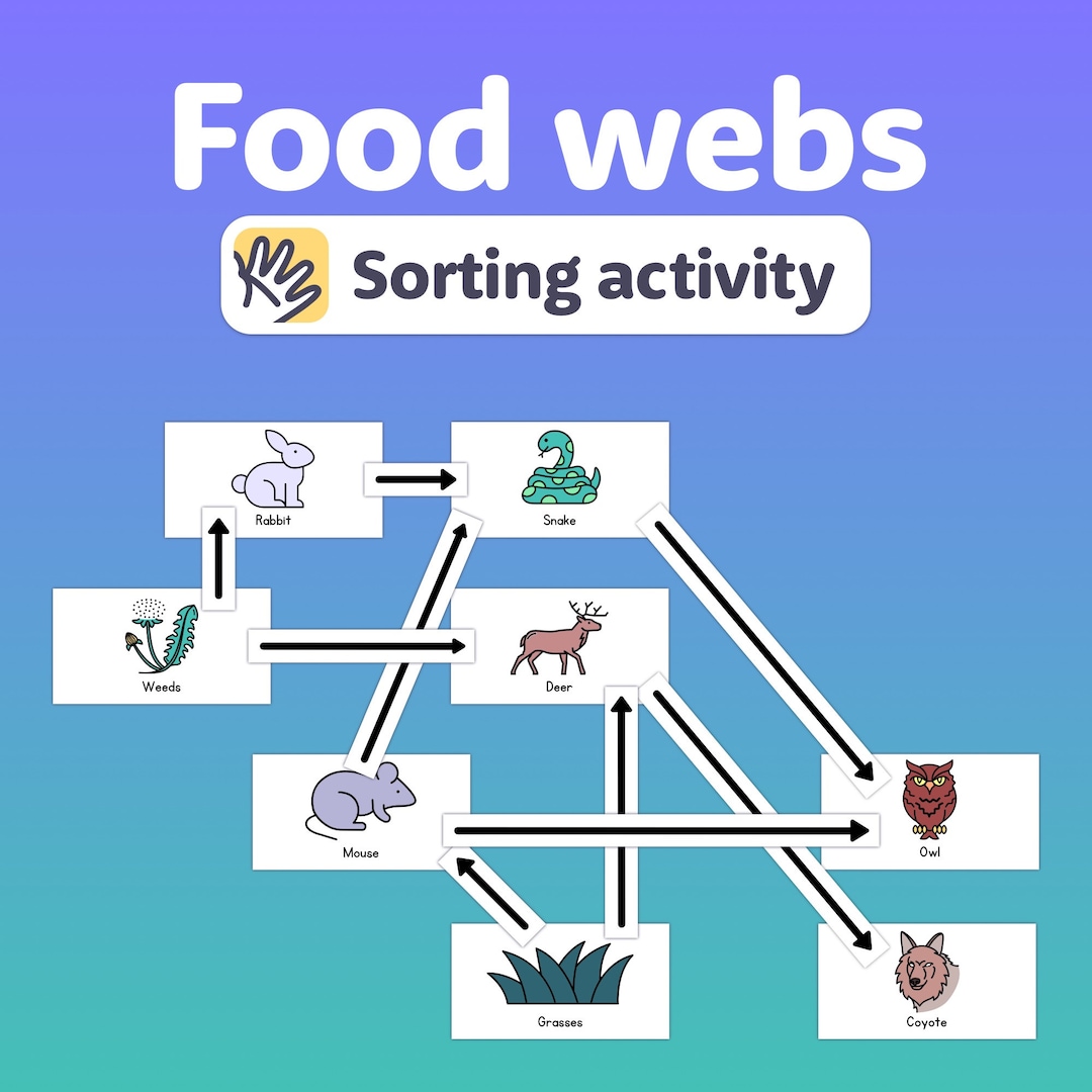 Food Webs Activity | 3rd, 4th, 5th Grade Ecosystems | Food Chains ...