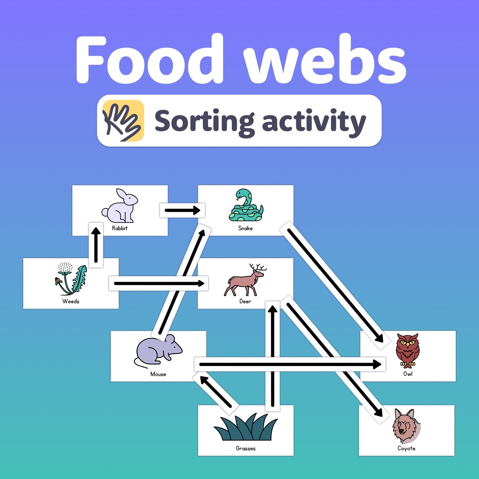 Food Webs Activity | 3rd, 4th, 5th Grade Ecosystems | Food Chains ...