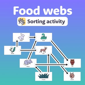 Food Webs Activity | 3rd, 4th, 5th Grade Ecosystems | Food Chains ...
