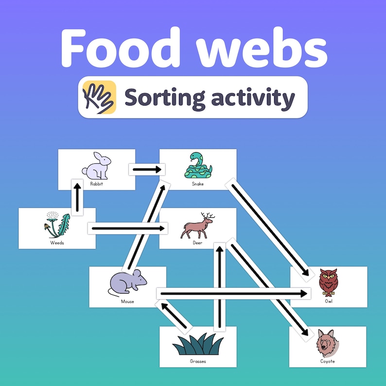 Food Webs Activity | 3rd, 4th, 5th Grade Ecosystems | Food Chains ...