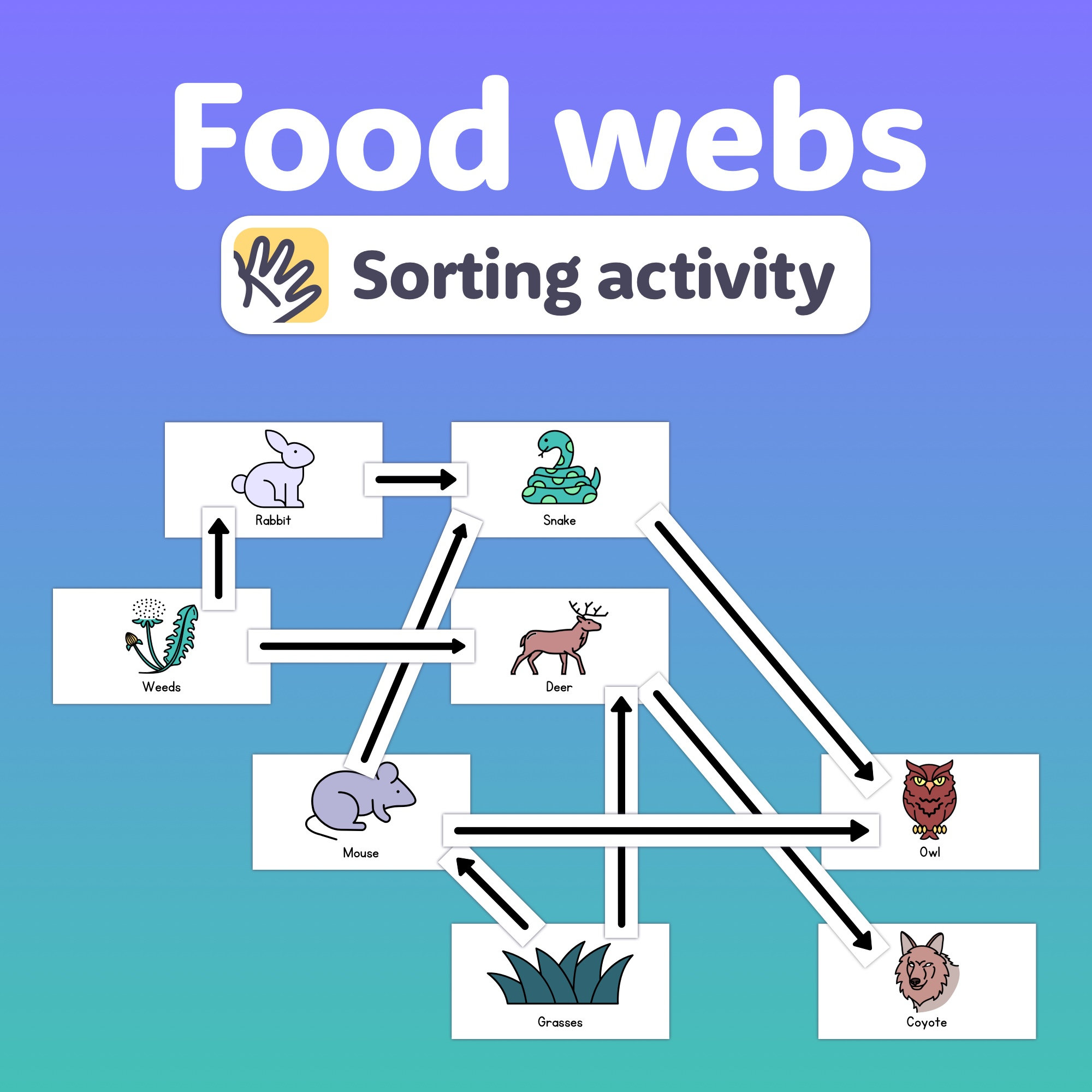 Food Webs Activity | 3rd, 4th, 5th Grade Ecosystems | Food Chains ...
