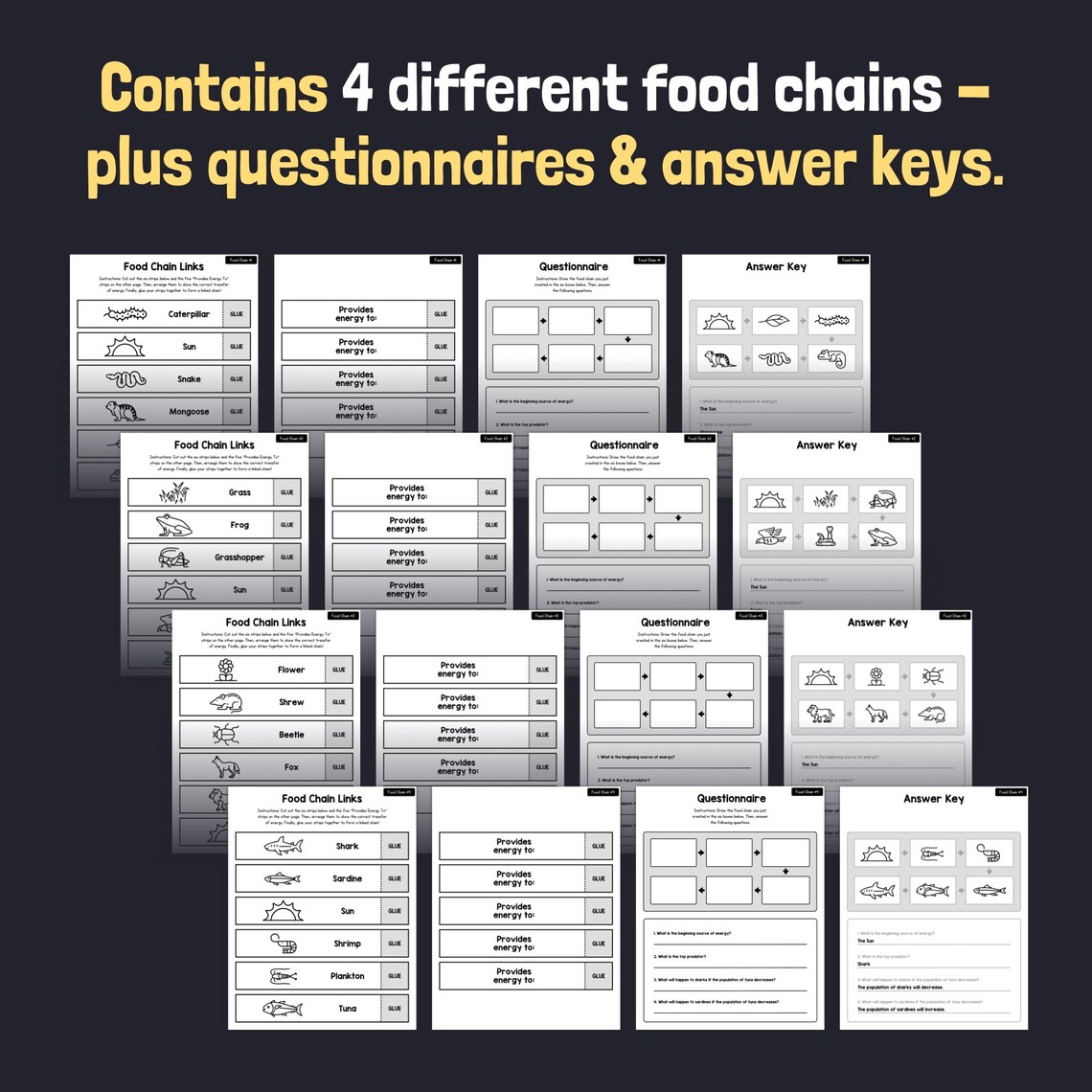 Food Chain Activity | 2nd, 3rd, 4th Grade Animal Ecosystem Food Chain ...