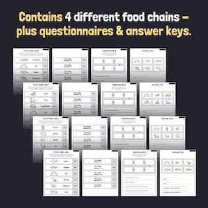 Food Chain Activity | 2nd, 3rd, 4th Grade Animal Ecosystem Food Chain ...