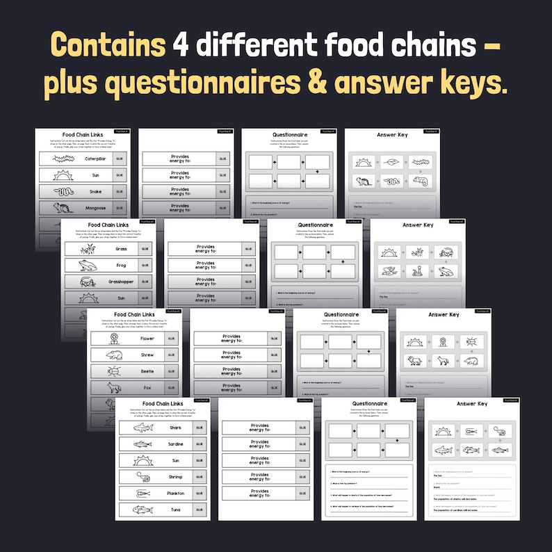Food Chain Activity | 2nd, 3rd, 4th Grade Animal Ecosystem Food Chain ...
