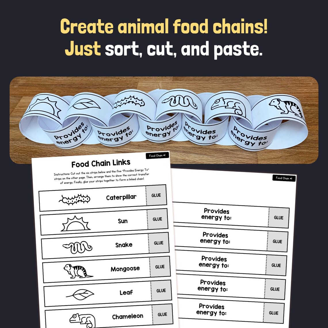 Food Chain Activity | 2nd, 3rd, 4th Grade Animal Ecosystem Food Chain ...