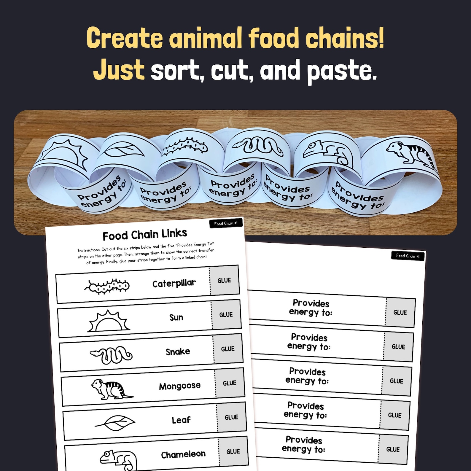 Food Chain Activity | 2nd, 3rd, 4th Grade Animal Ecosystem Food Chain ...