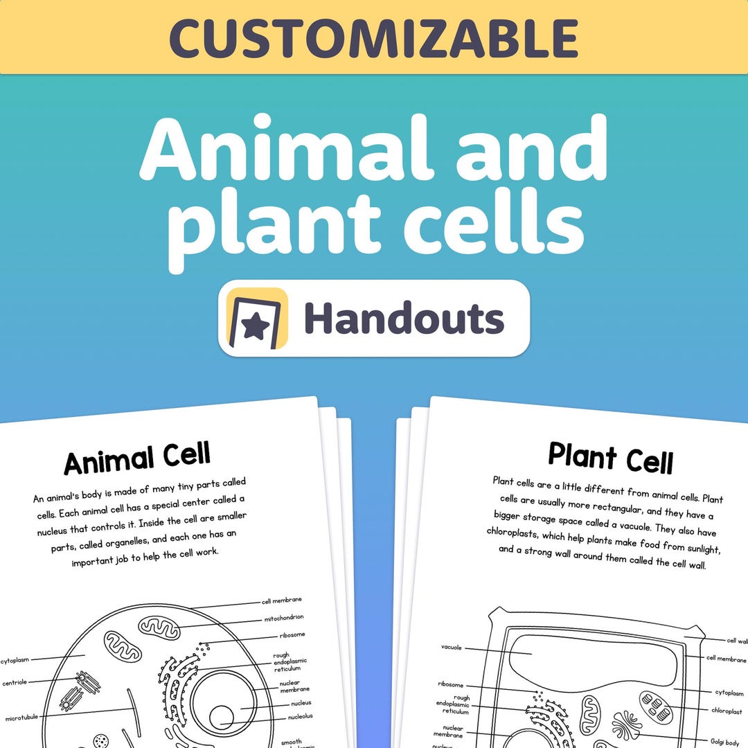 Customizable Animal and Plane Cells Handouts, Upper Elementary Biology ...