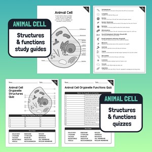 Plant & Animal Cell Organelle Structures and Functions | Cells Unit ...