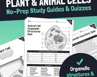 Plant and Animal Cell Science BUNDLE - Etsy