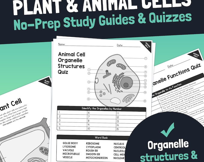 Manualidad de hábitats animales / Diorama de ciencias del hábitat y ...