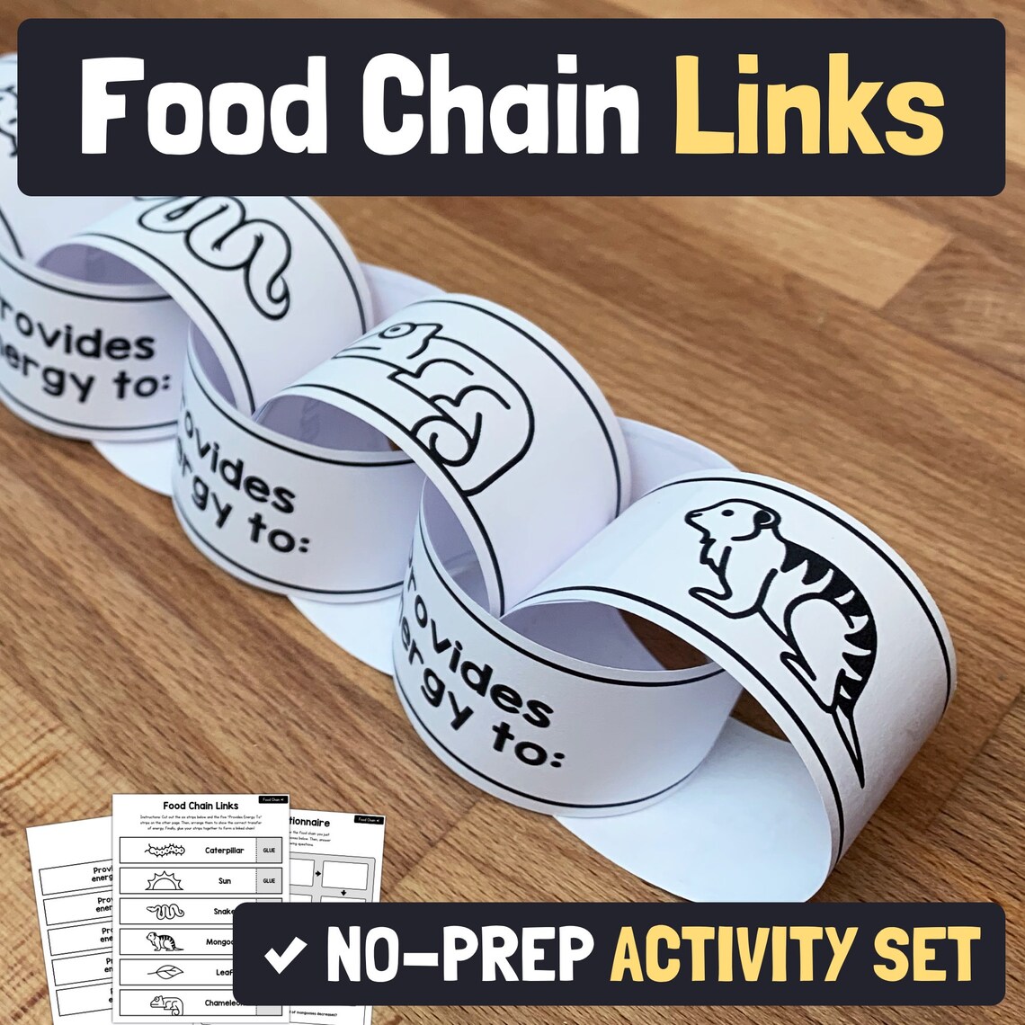 Food Chain Activity | 2nd, 3rd, 4th Grade Animal Ecosystem Food Chain ...
