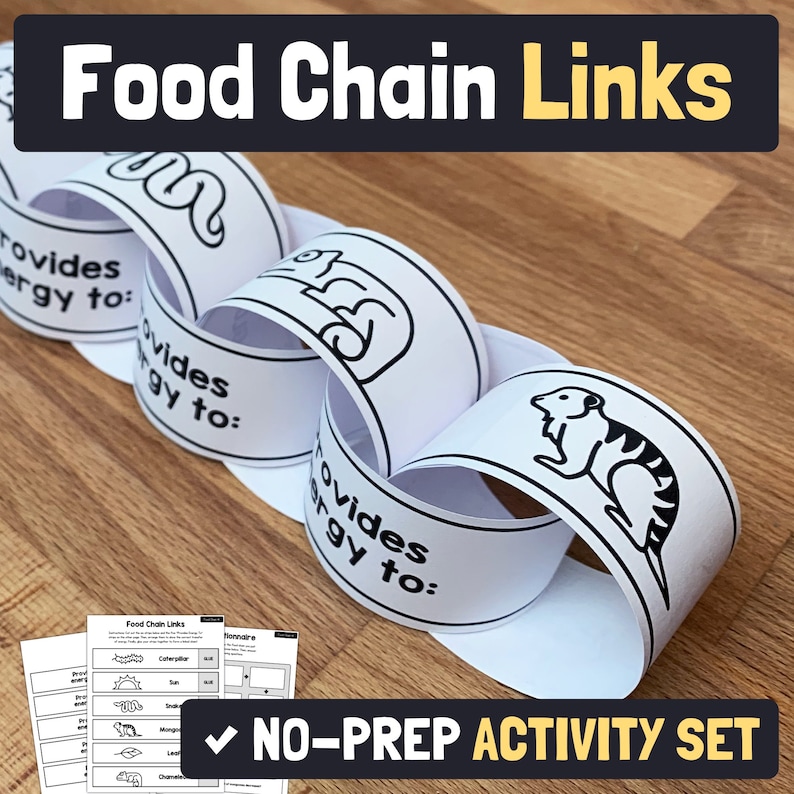Food Chain Activity | 2nd, 3rd, 4th Grade Animal Ecosystem Food Chain ...