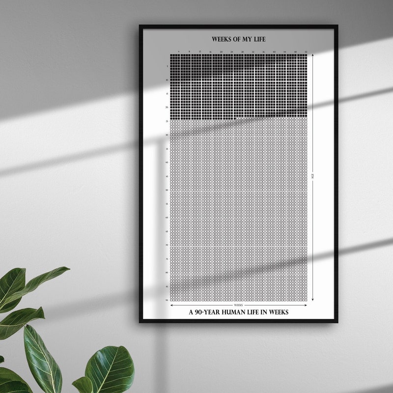 Life in Weeks Poster - Etsy
