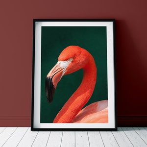 Pink Flamingo Printable Wall Art Poster, Emerald Green and Pink Bird ...