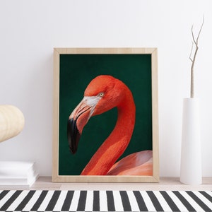 Pink Flamingo Printable Wall Art Poster, Emerald Green and Pink Bird ...