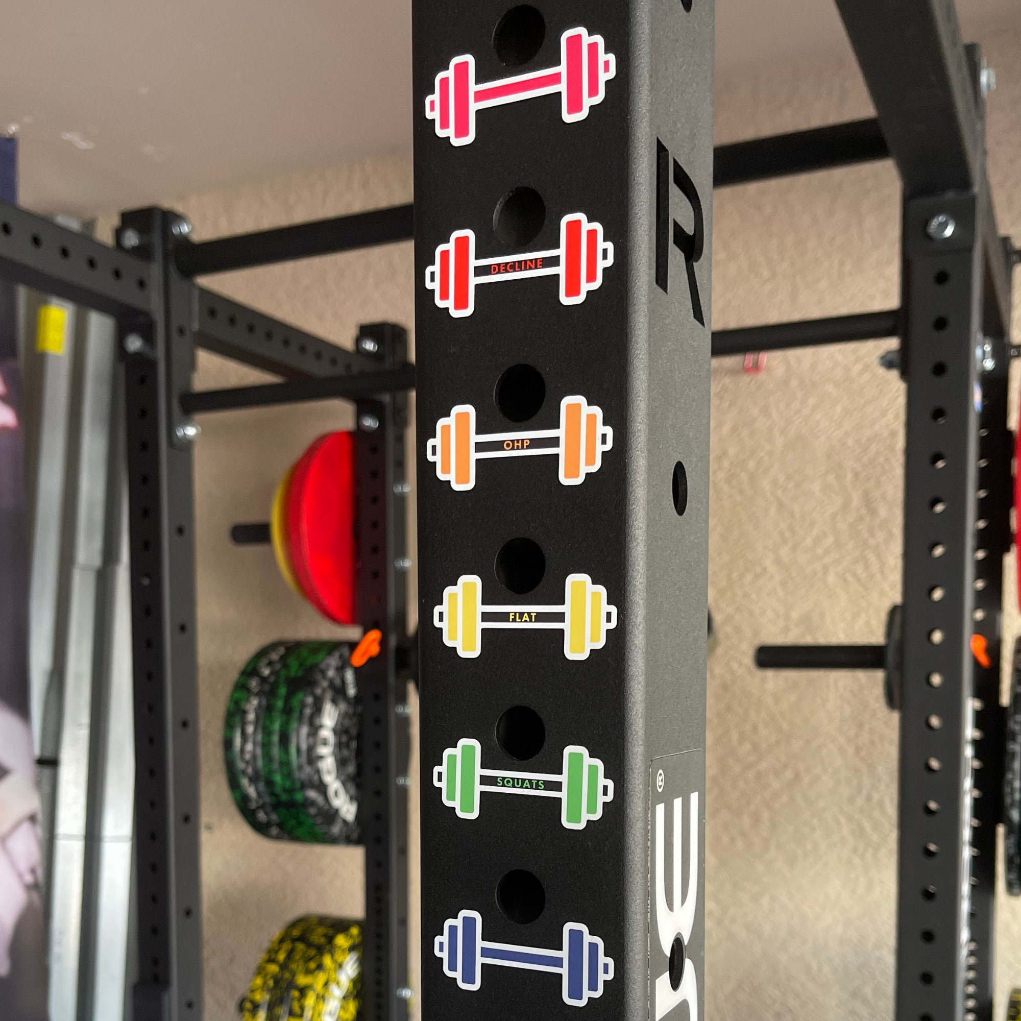 J Cups Power Rack | atelier-yuwa.ciao.jp