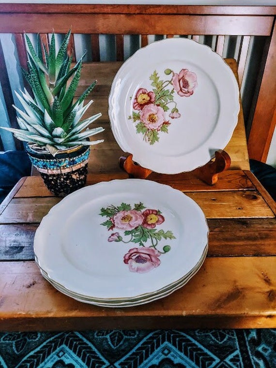 Vintage EDWIN KNOWLES Dinner Plates 10 Floral Pattern - Etsy