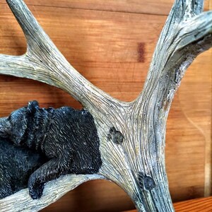 Vintage Rustic Antlers With Black Bears Nature Cabin Decor Gift for Him ...