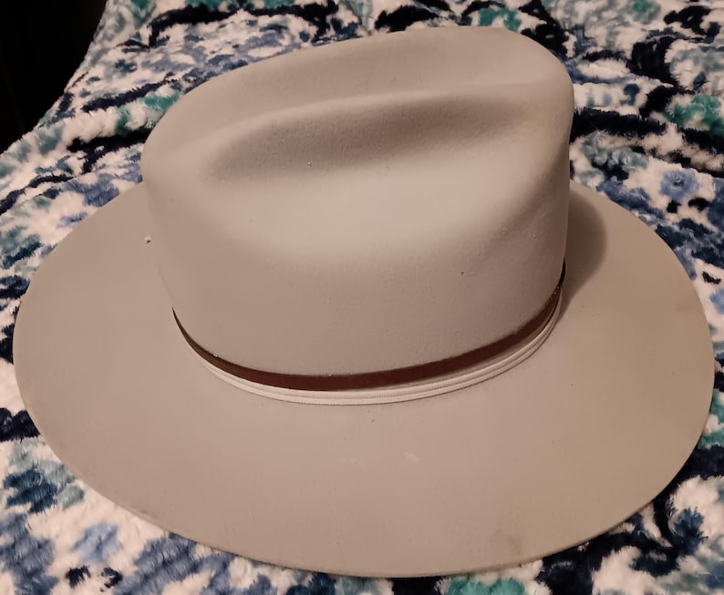 Stetson Beaver Cowboy Hat - Etsy