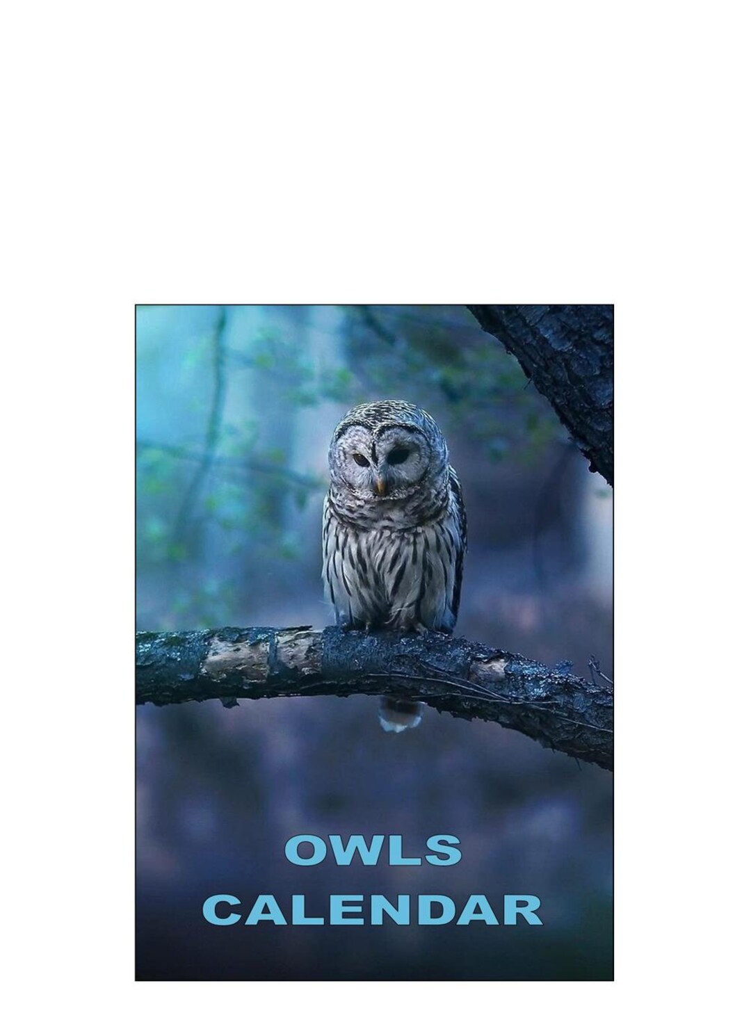 Owls Calendar 2026. A4 Wall Hanging - Etsy