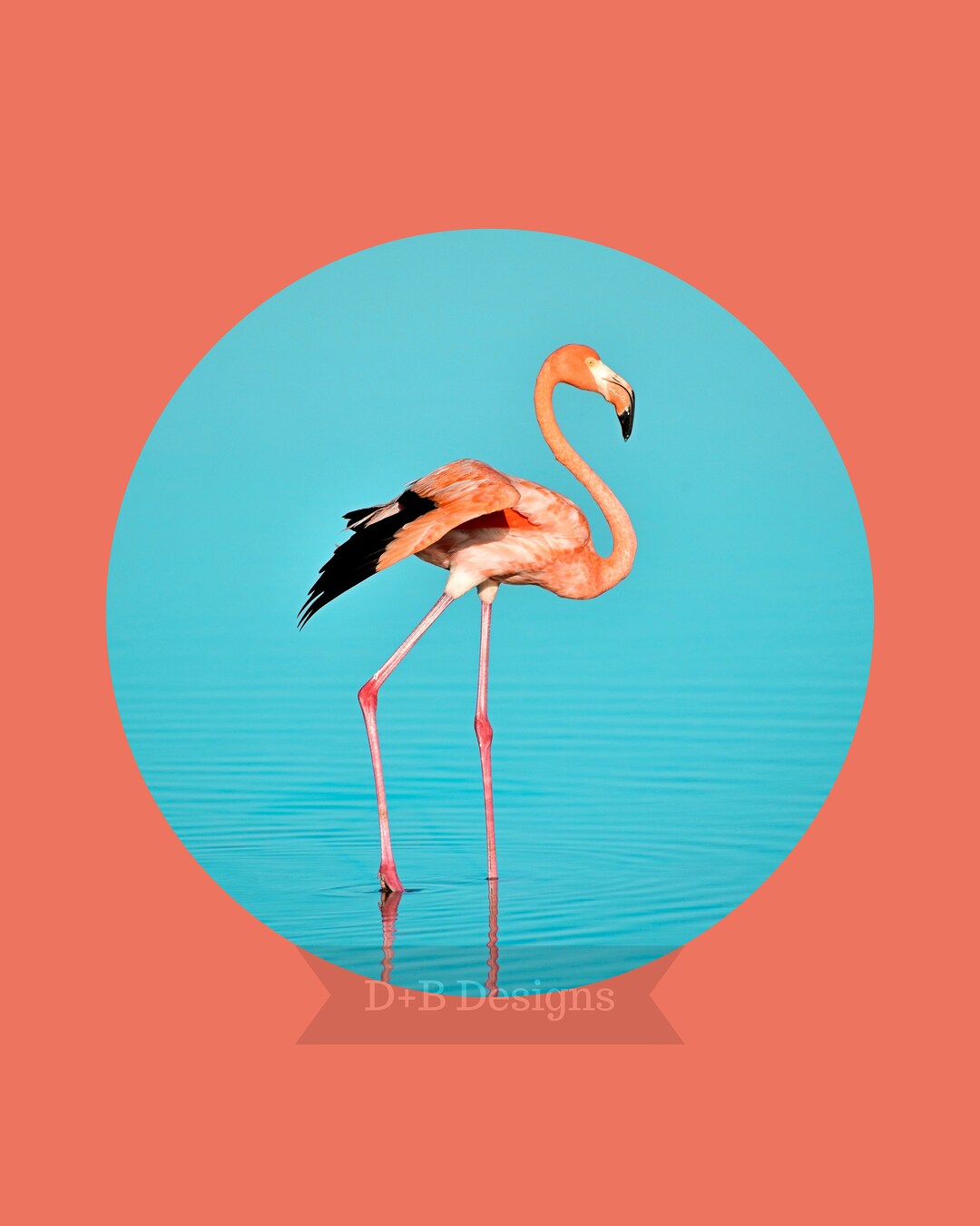 Modern Flamingo Poster - Etsy