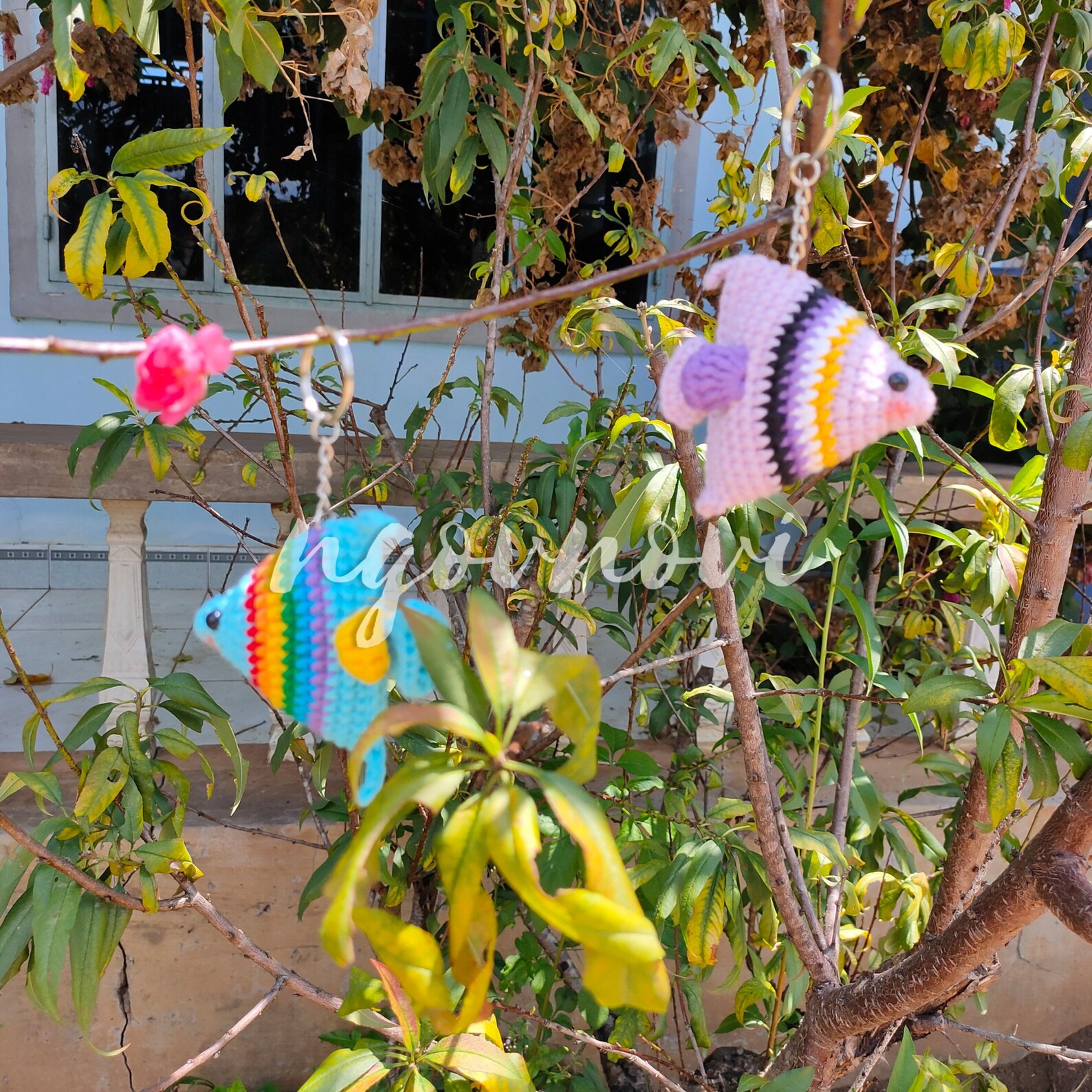 LGBT Crochet Colorful Fish Pride Flag Gift for LGBT Fish - Etsy