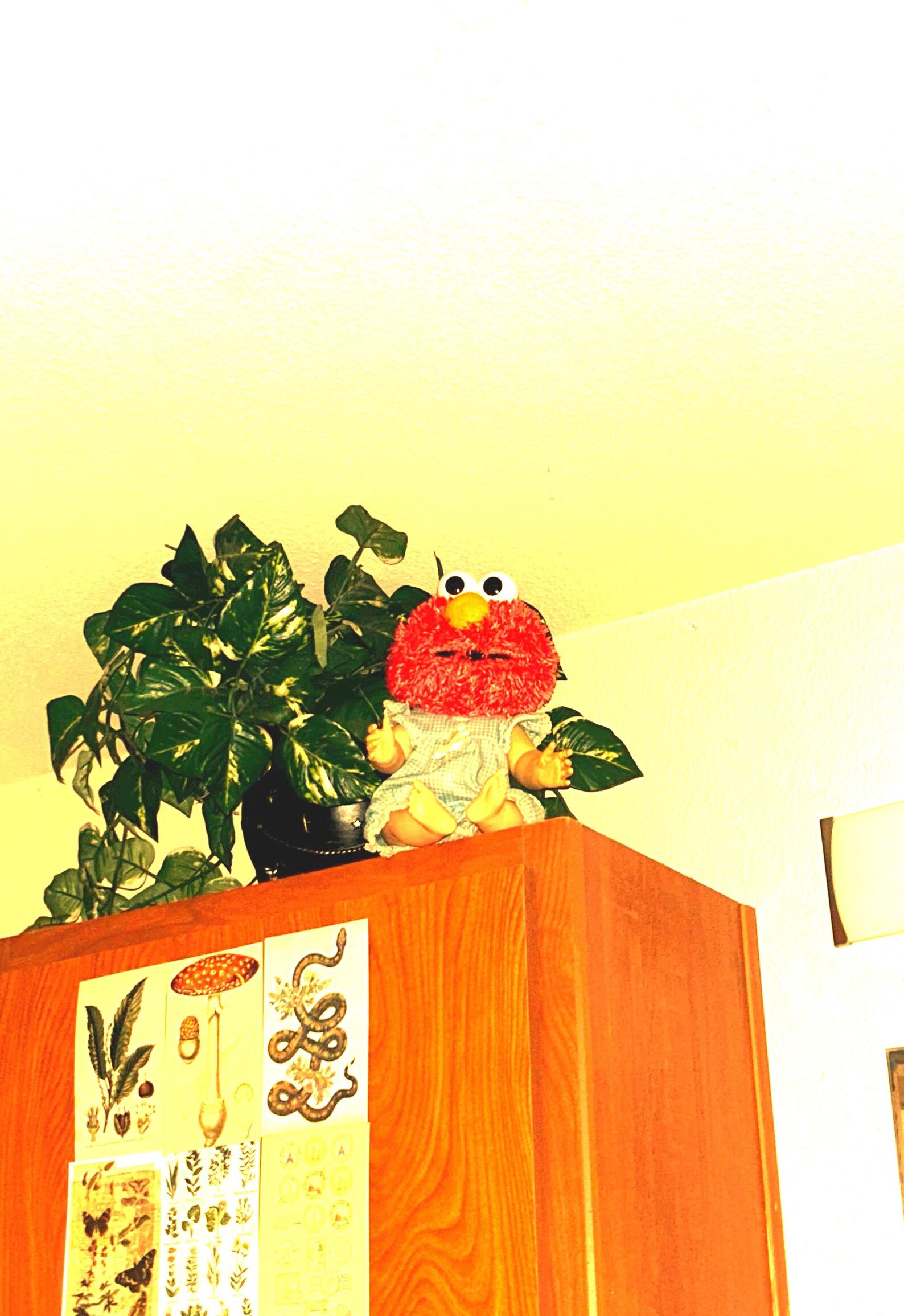 Bebé Elmo. - Etsy España