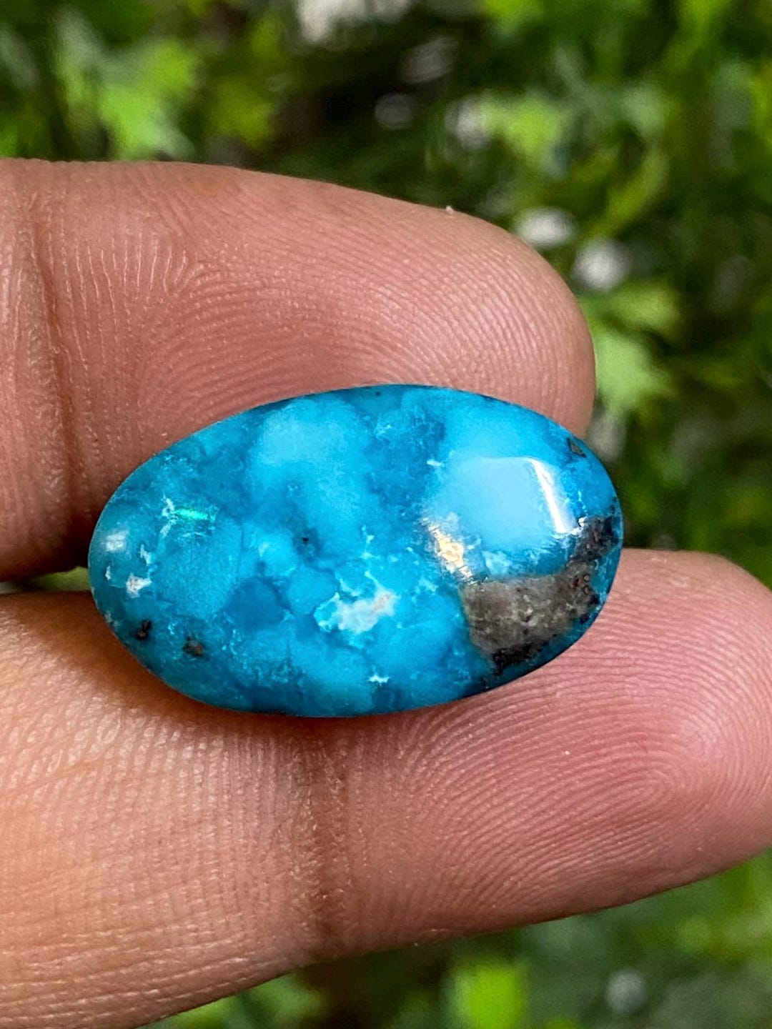 Natural Morenci Turquoise Birdseye Waterweb Cabochon 14.85CT Double ...